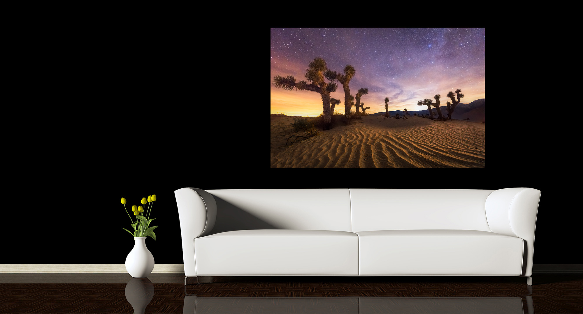 Exploring Light Photography